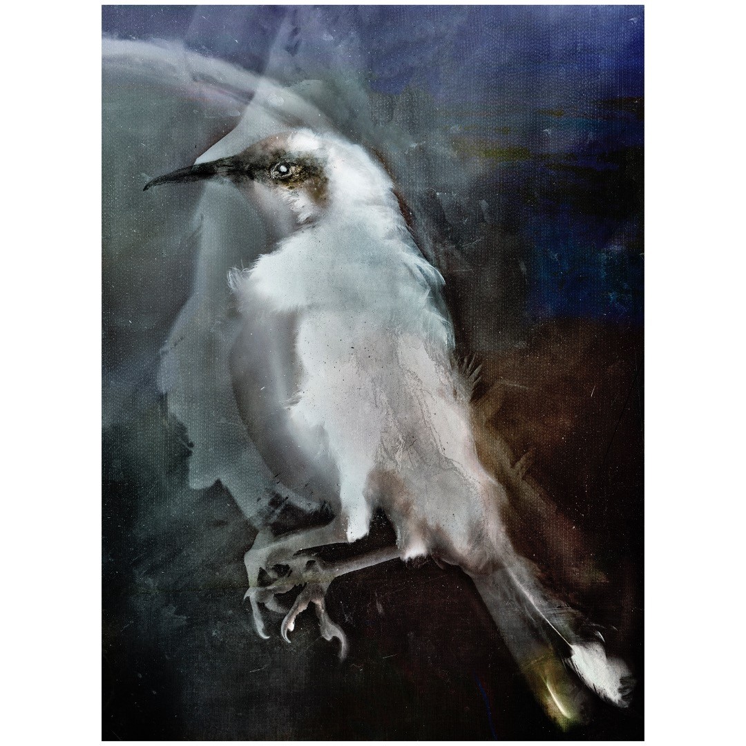 2018 Lumachrome Glass Print Gallery | Judith Nangala Crispin