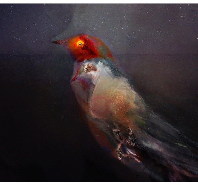 Judith Nangala Crispin | poet | photographic artist