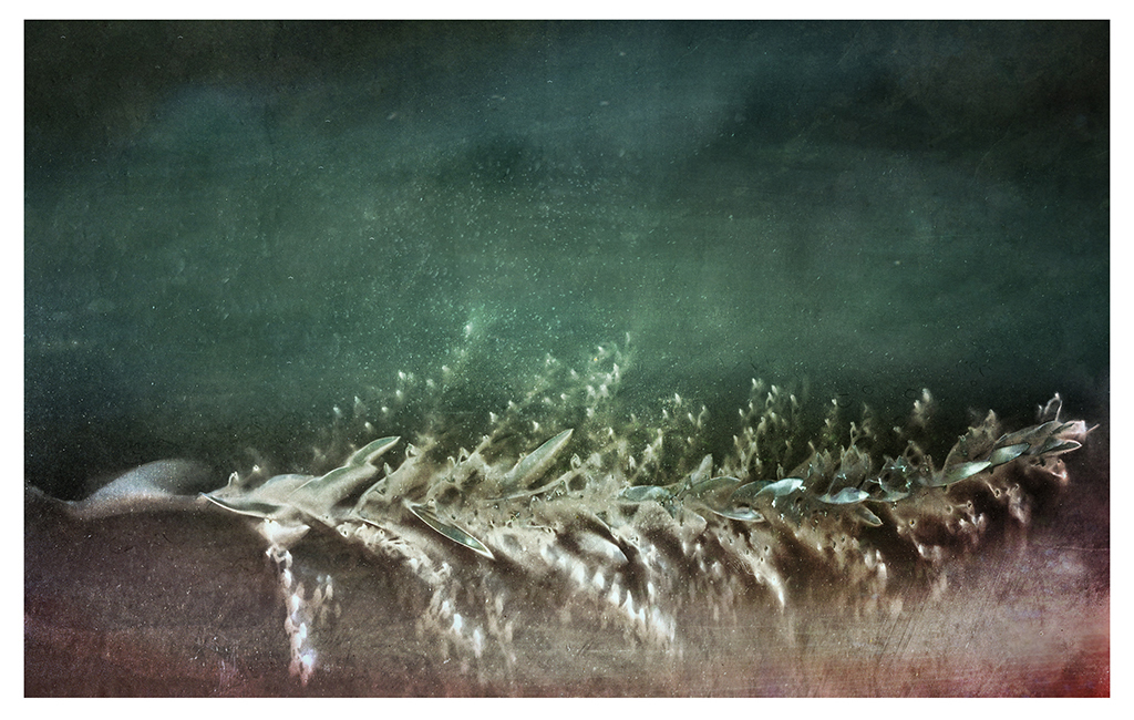 2018 Lumachrome Glass Print Gallery | Judith Nangala Crispin