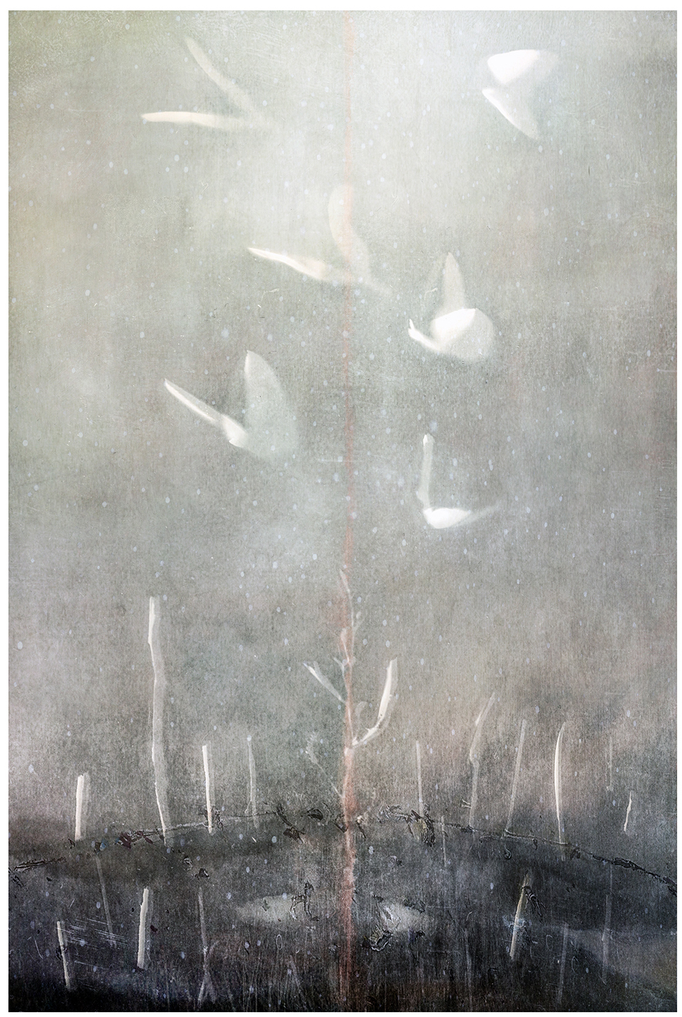 2018 Lumachrome Glass Print Gallery | Judith Nangala Crispin