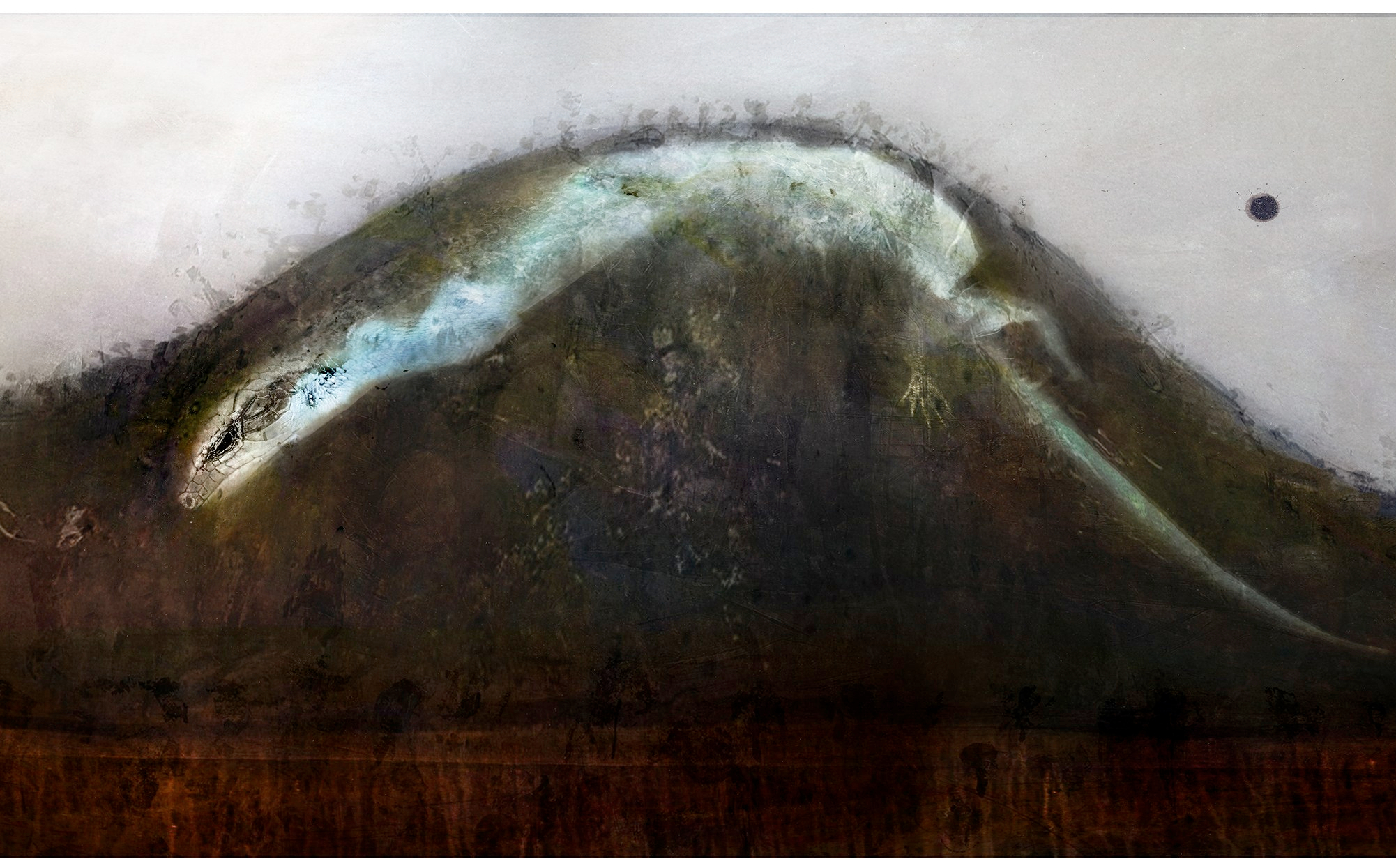 2018 Lumachrome Glass Print Gallery | Judith Nangala Crispin