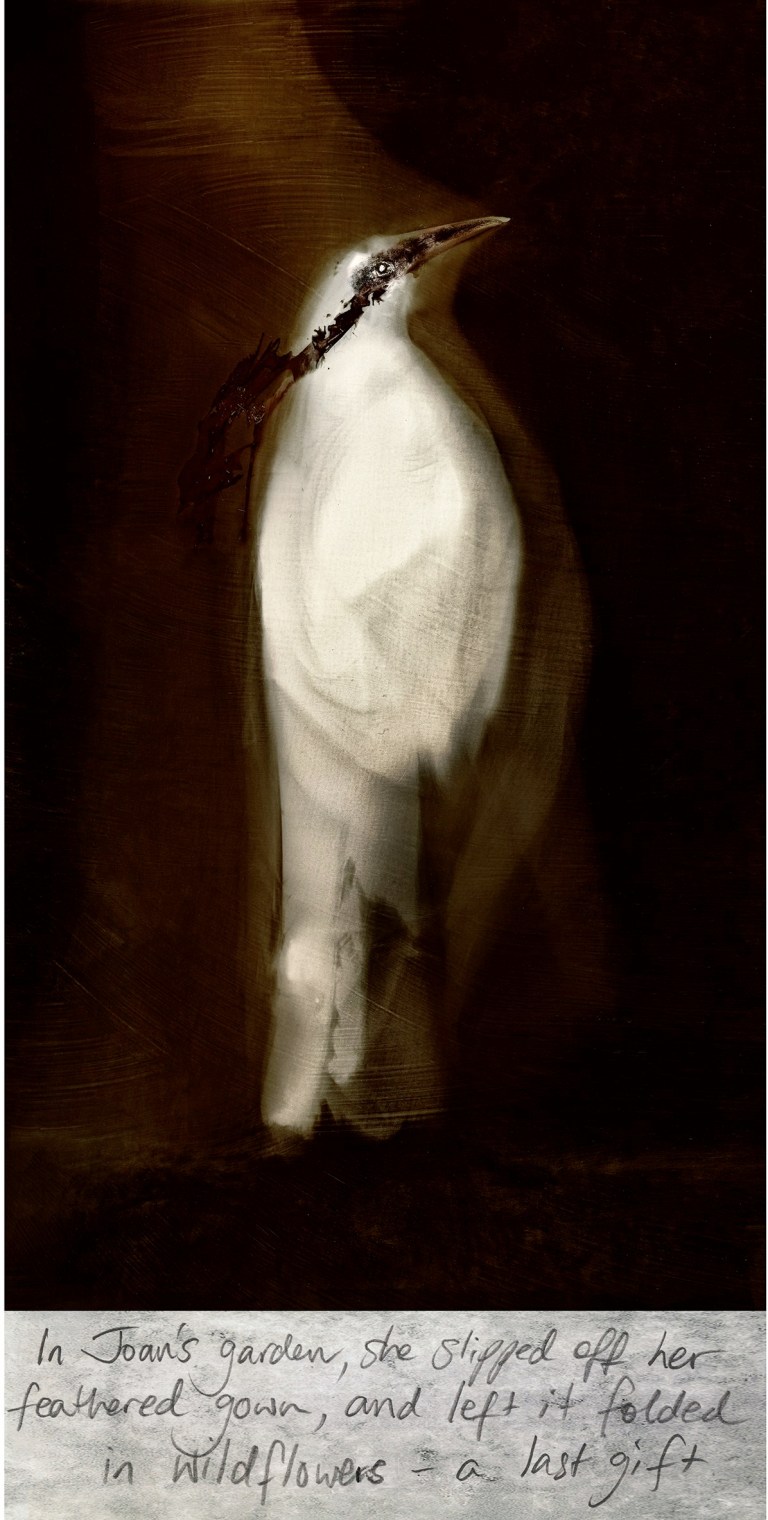 2018 Lumachrome Glass Prints | Judith Nangala Crispin