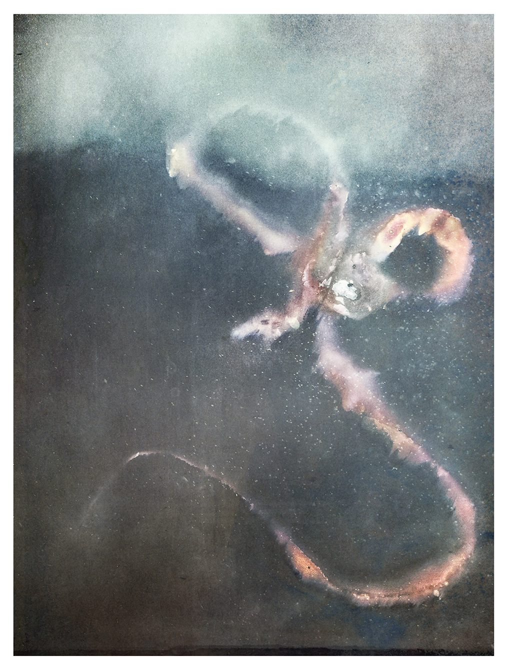 2018 Lumachrome Glass Print Gallery | Judith Nangala Crispin