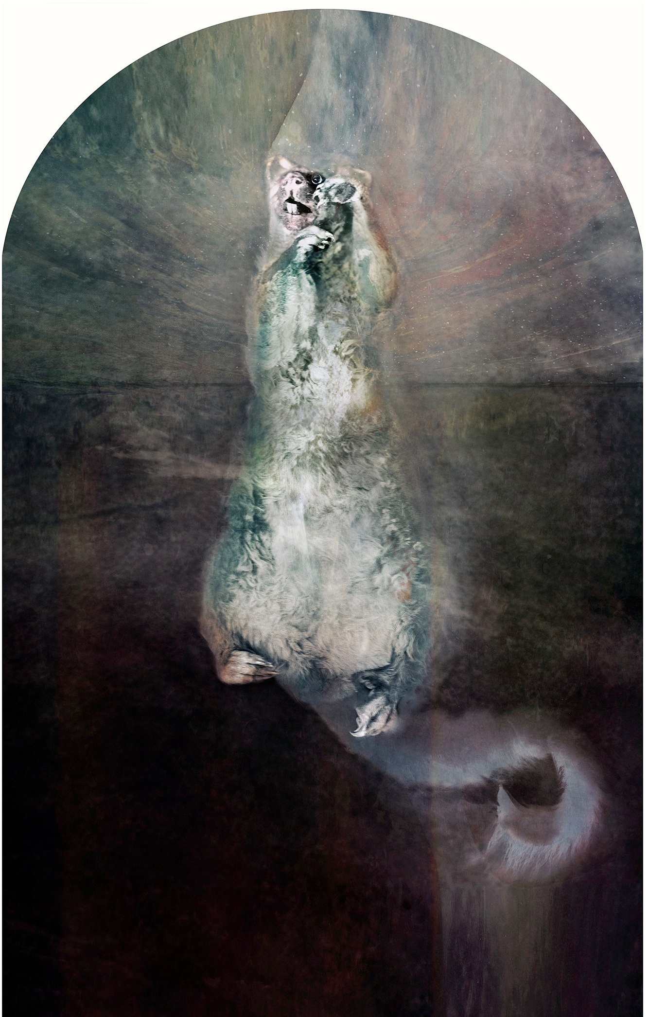 2018 Lumachrome Glass Print Gallery | Judith Nangala Crispin