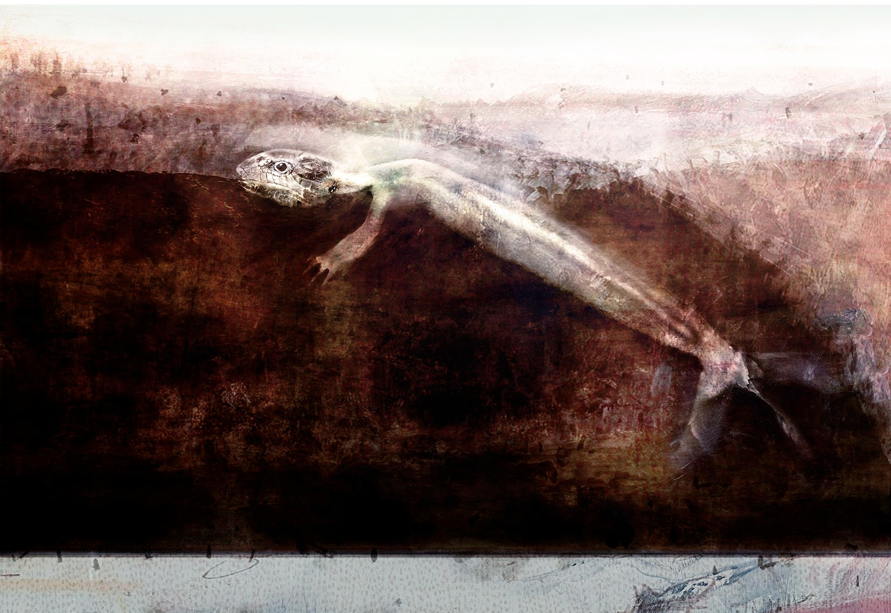 2018 Lumachrome Glass Print Gallery | Judith Nangala Crispin