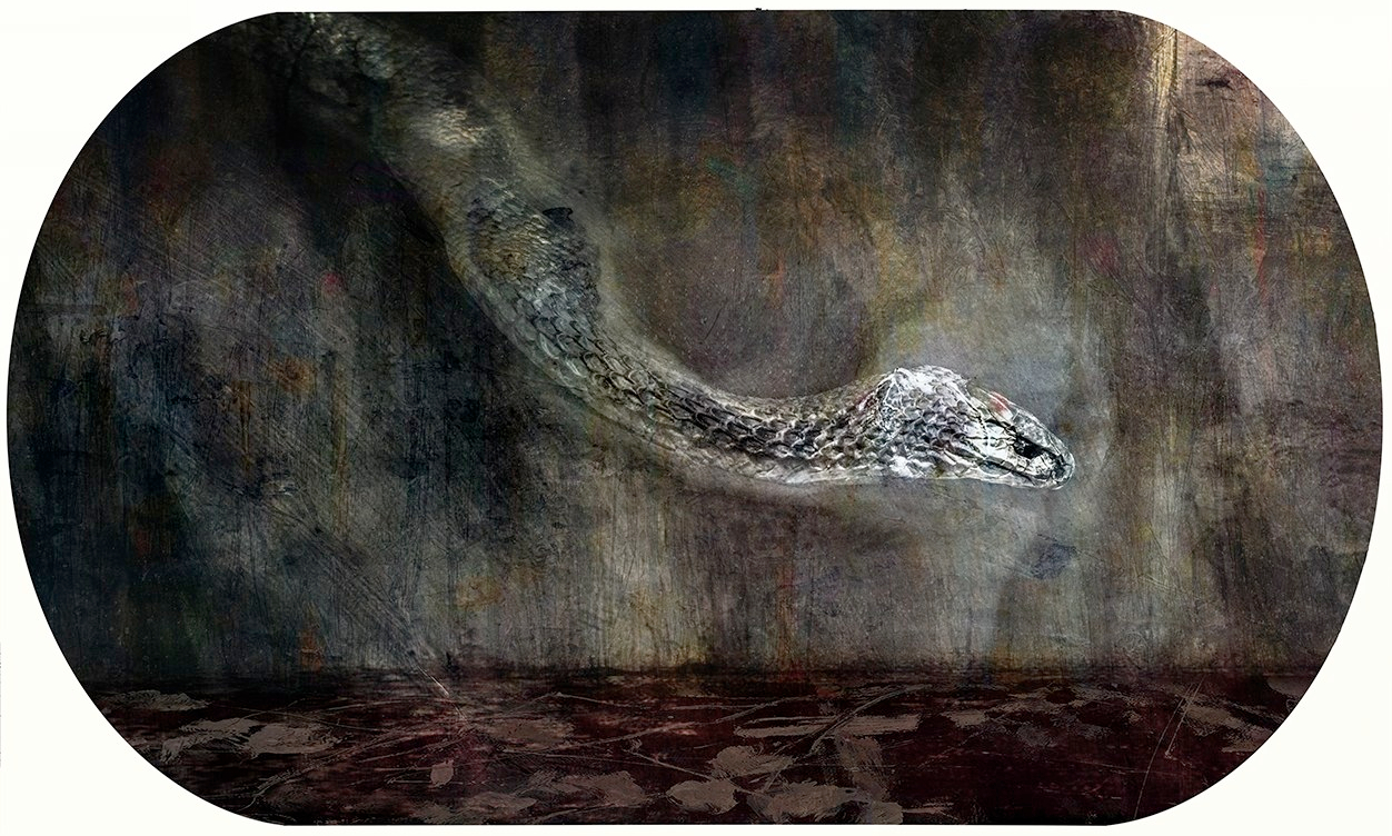 2018 Lumachrome Glass Print Gallery | Judith Nangala Crispin