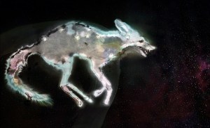 2020 Lumachrome Glass Prints for Sale | Judith Nangala Crispin