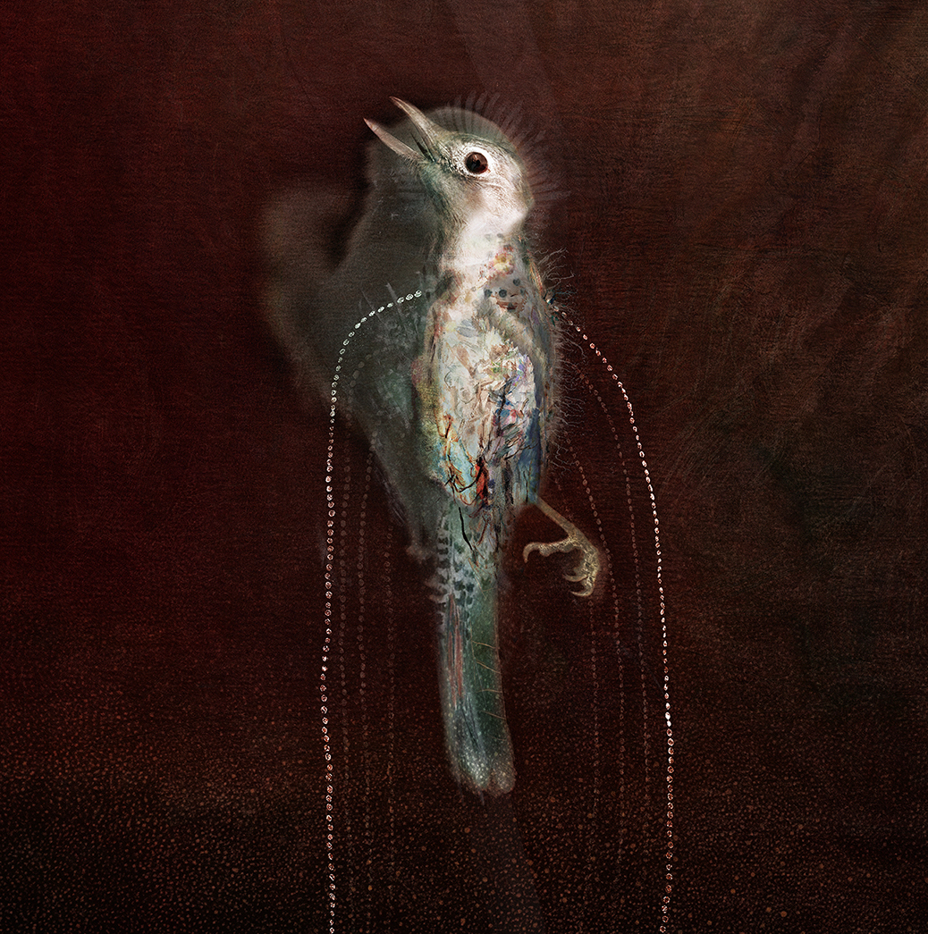 Judith Nangala Crispin | poet | photographic artist