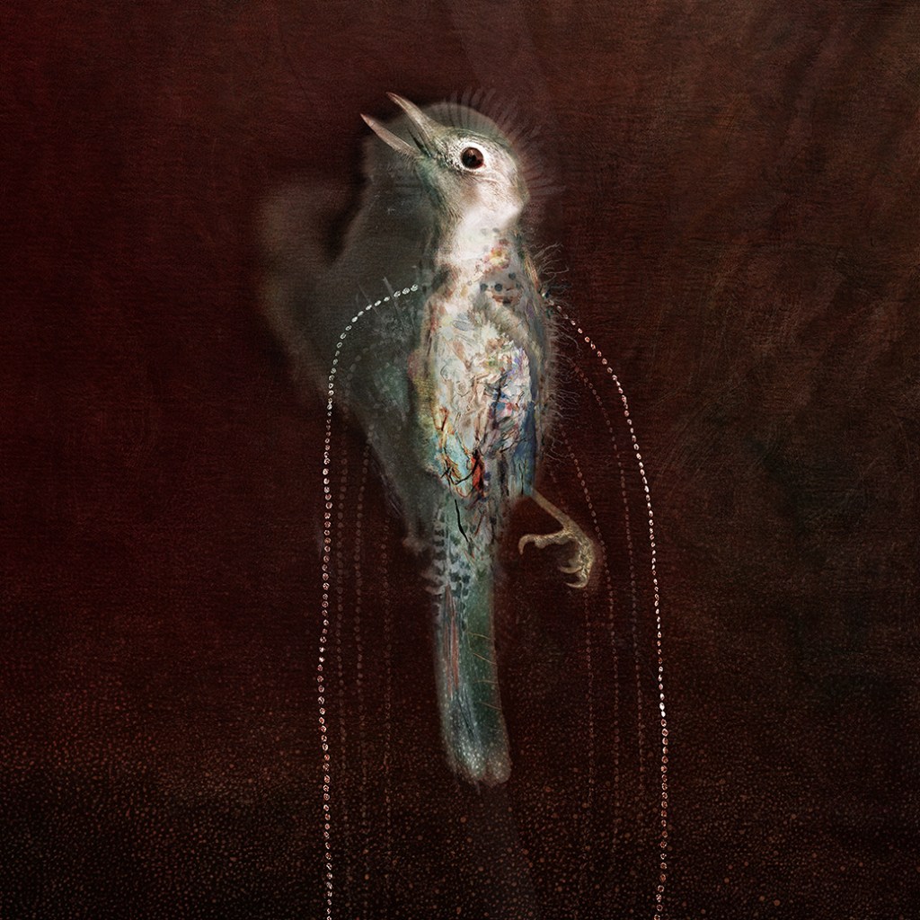 Judith Nangala Crispin | poet | photographic artist