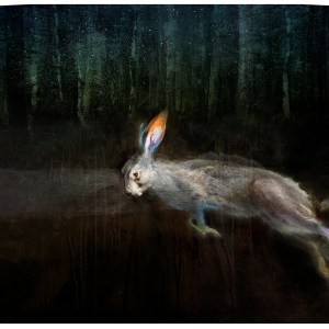 Judith Nangala Crispin | poet | photographic artist