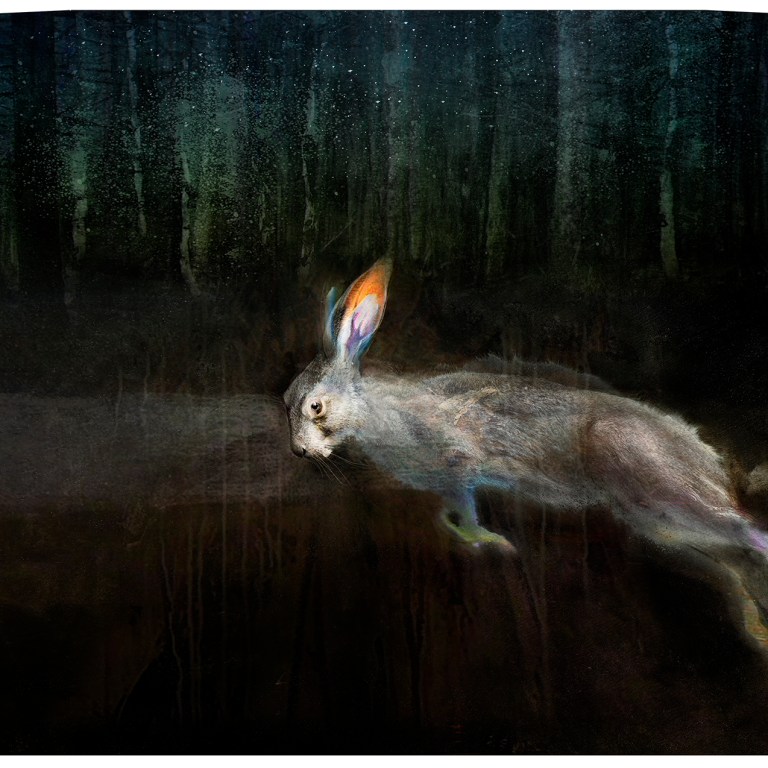 Judith Nangala Crispin | poet | photographic artist