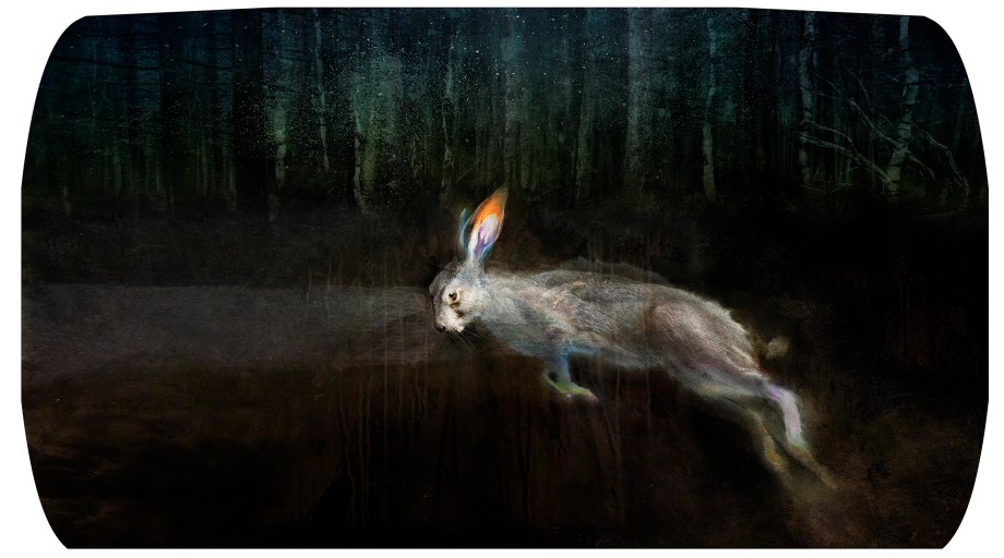 Judith Nangala Crispin | poet | photographic artist