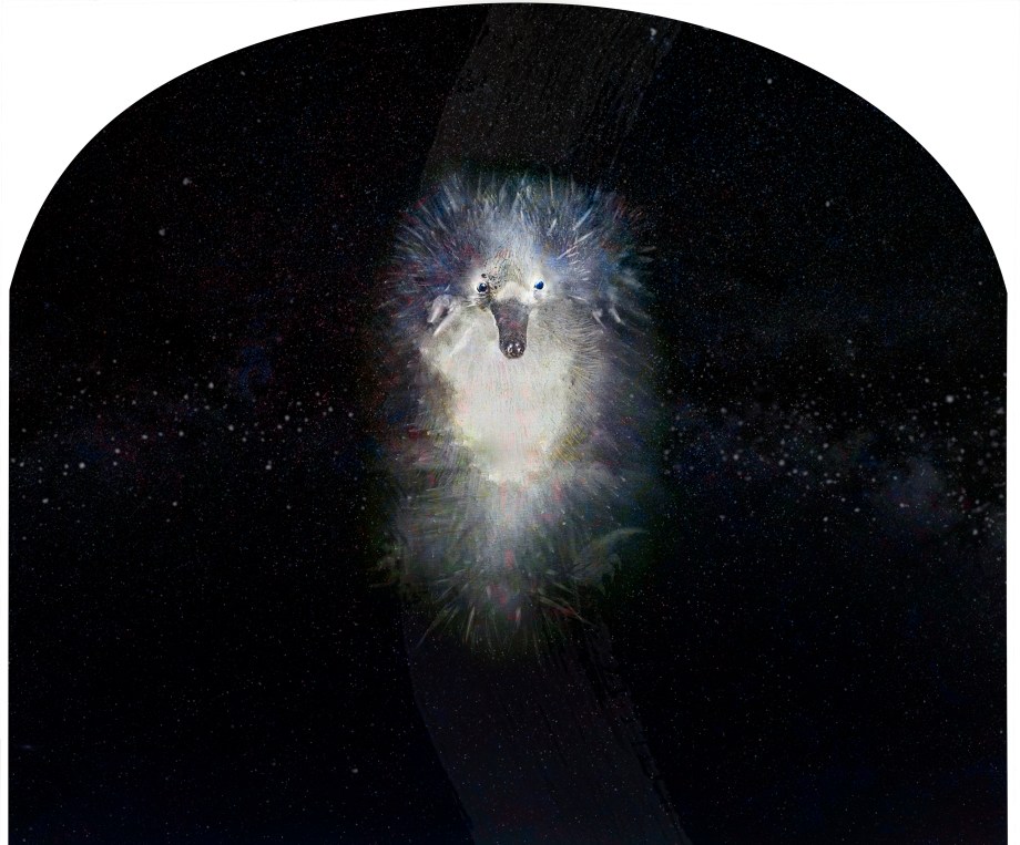 Judith Nangala Crispin | poet | photographic artist