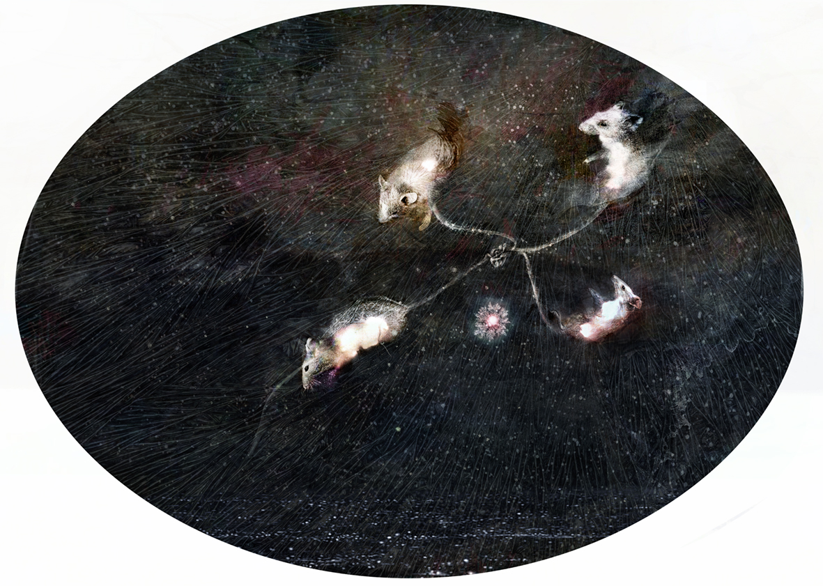 2023 Lumachrome Prints | Judith Nangala Crispin
