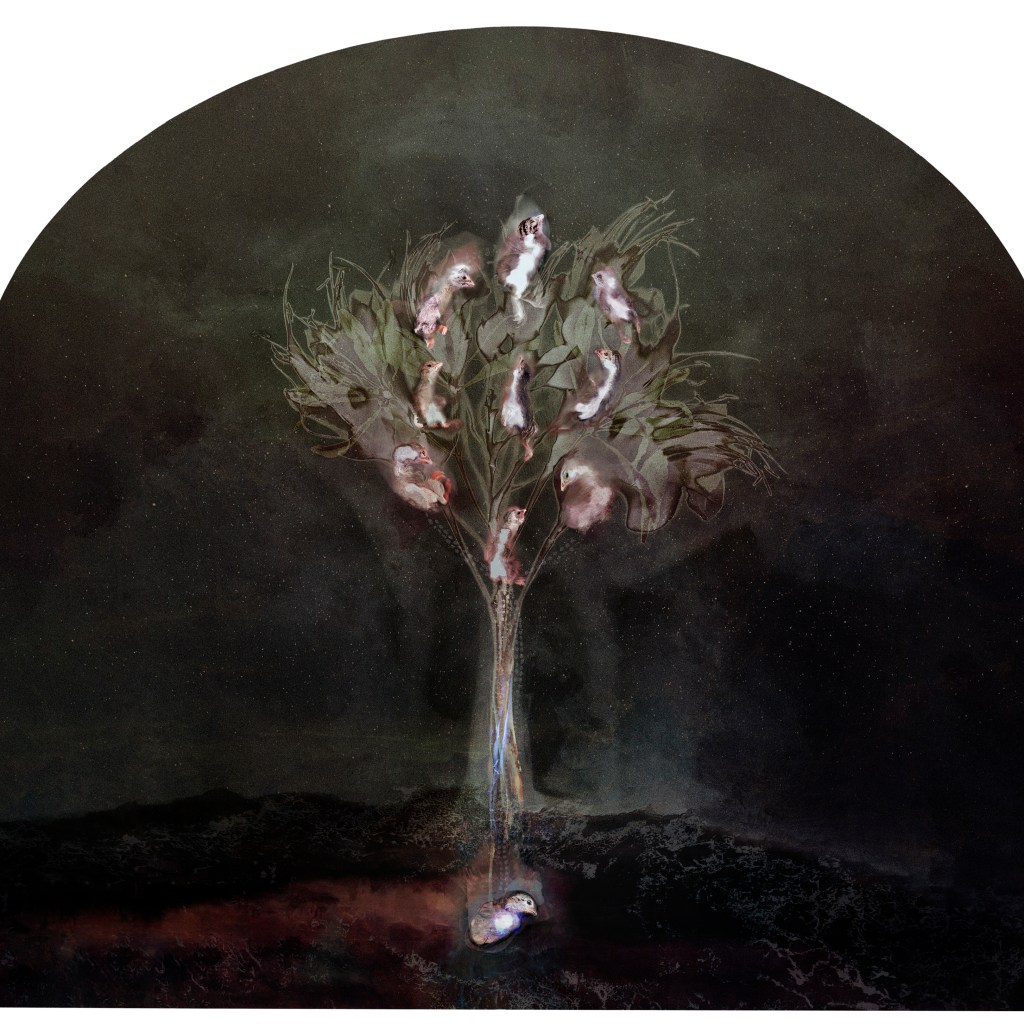 Judith Nangala Crispin | poet | photographic artist