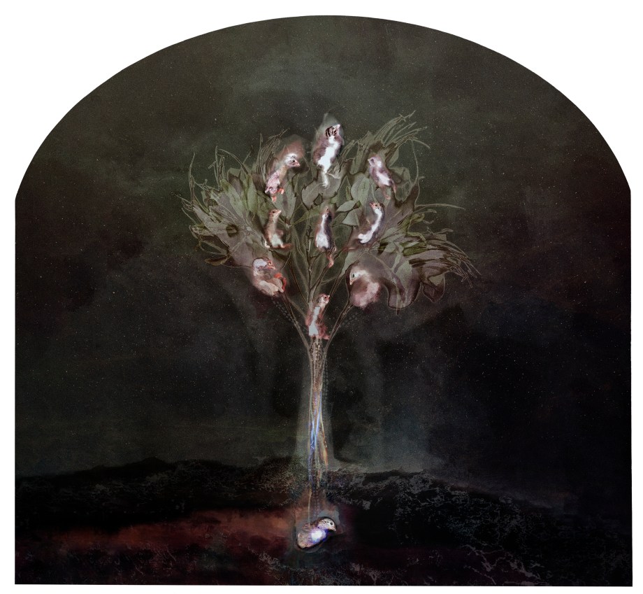 Judith Nangala Crispin | poet | photographic artist