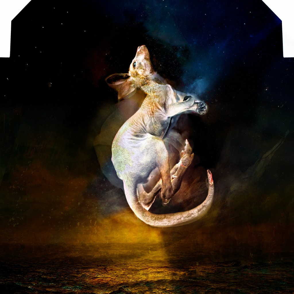 Judith Nangala Crispin | poet | photographic artist